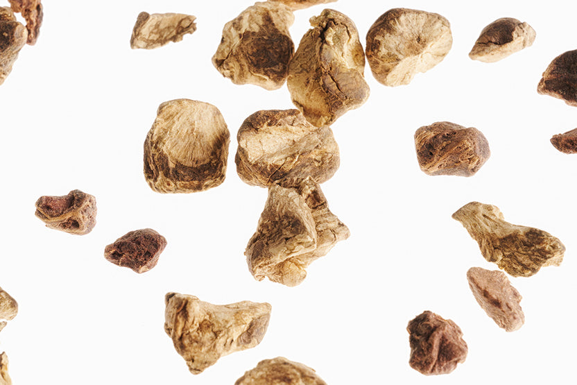 Hole Serum® – Asset